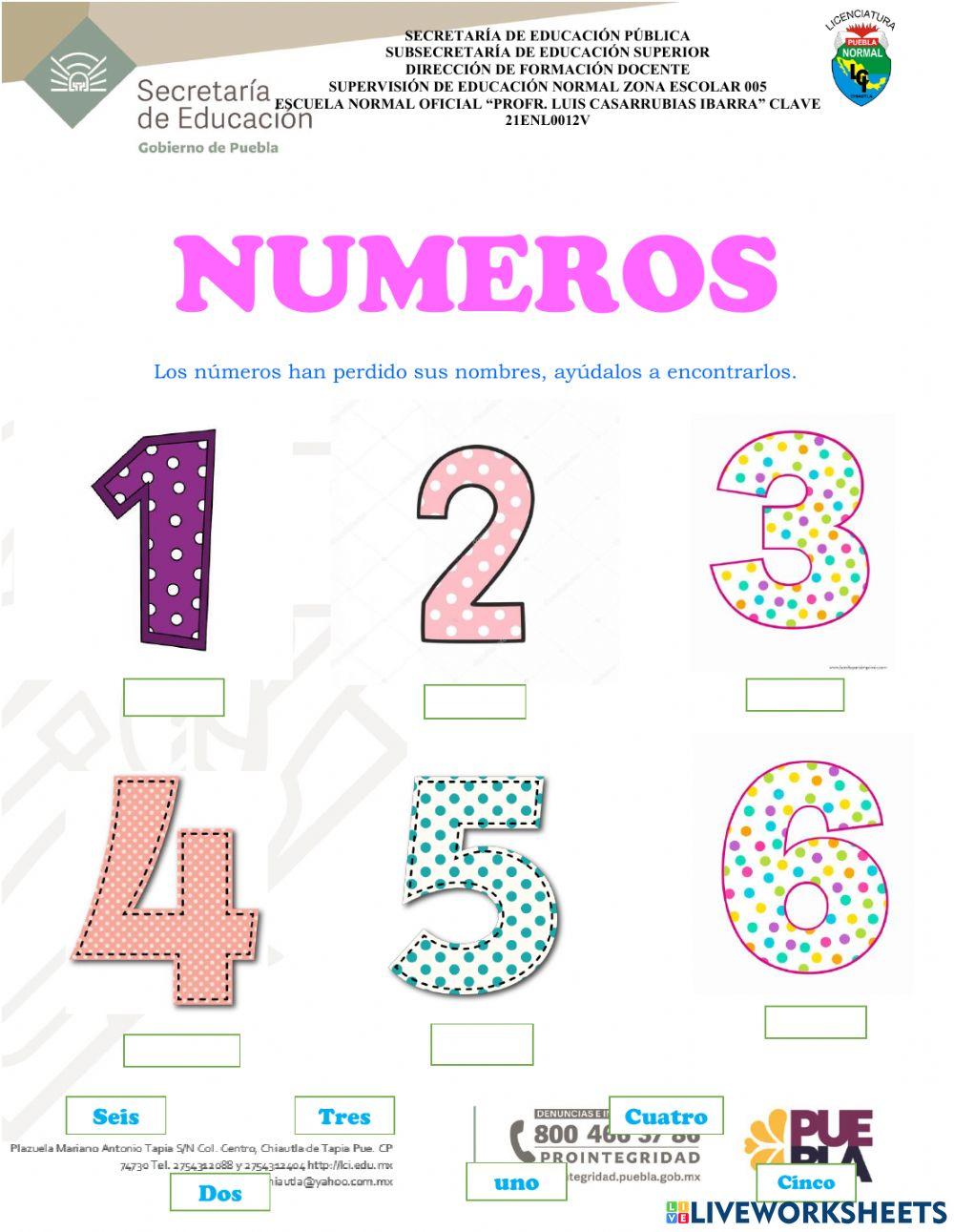 Ficha interactiva uno, numeros. worksheet | Live Worksheets