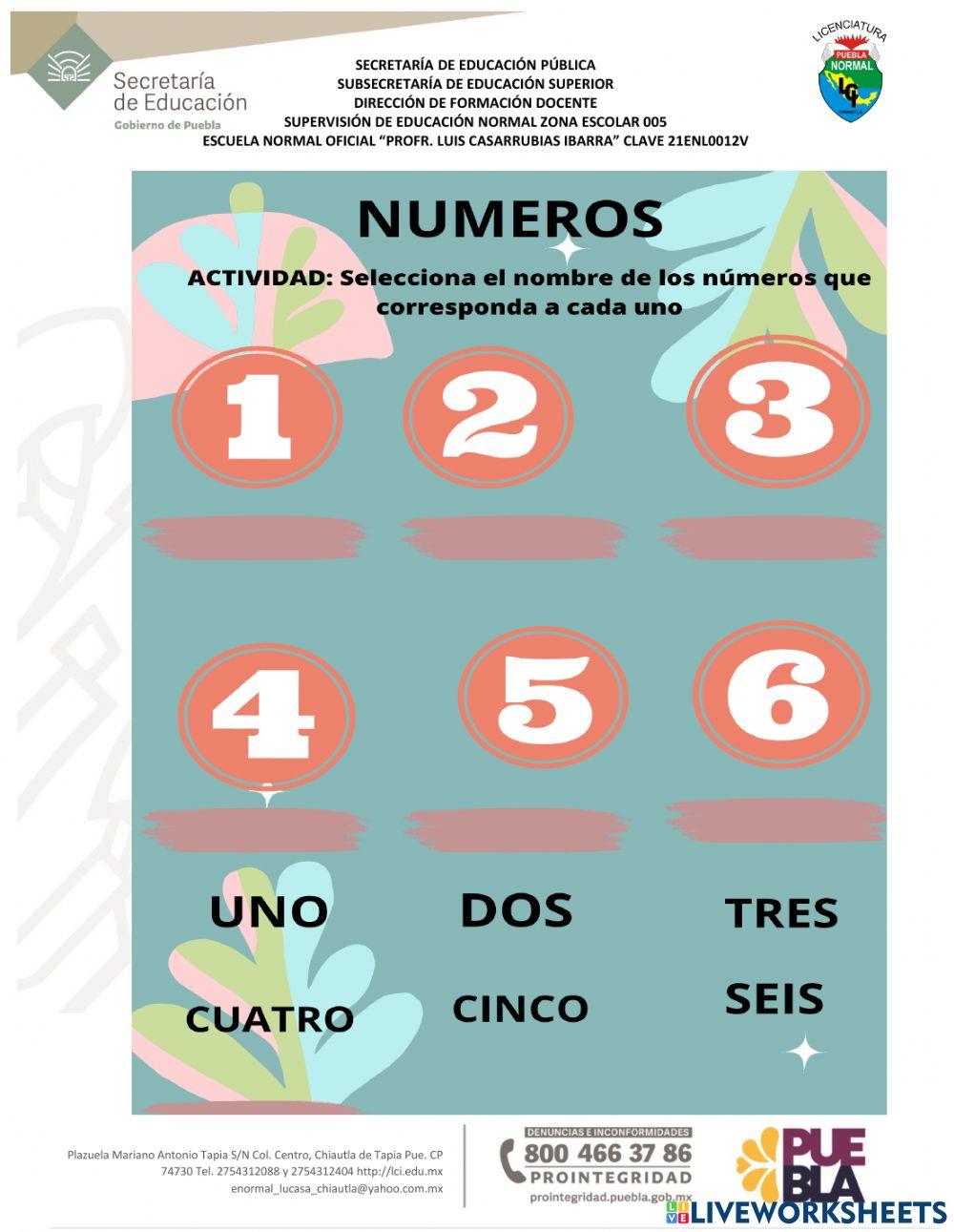 Poner los nombres de cada nombre worksheet | Live Worksheets