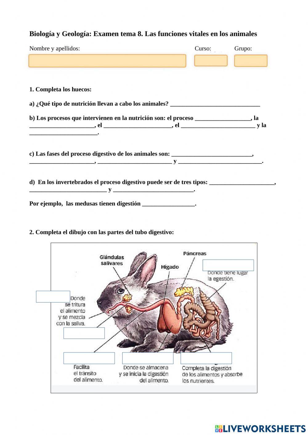 Examen tema 8. Las funciones vitales en los animales online exercise ...