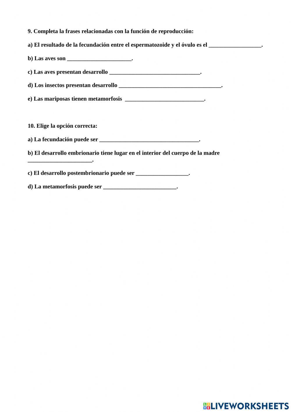 Examen tema 8. Las funciones vitales en los animales