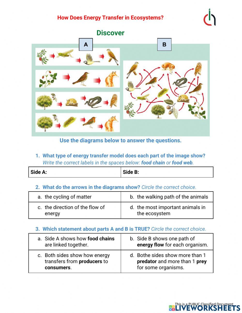 energy pathways worksheet