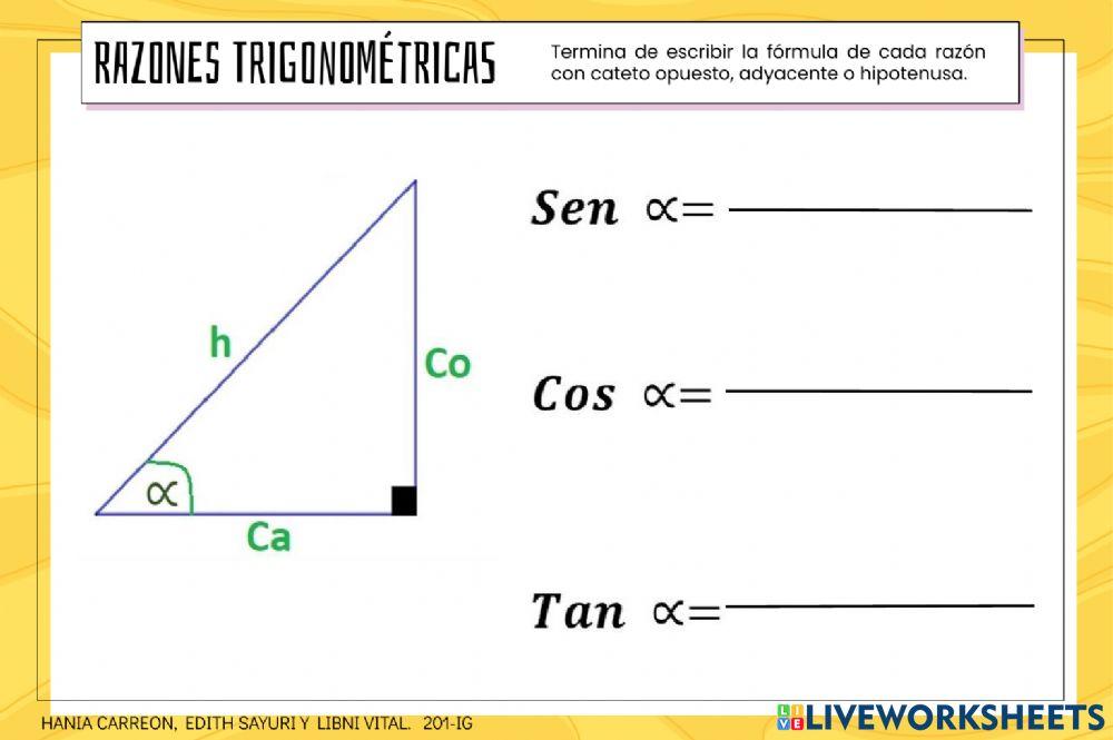 7016576 Razones Trigonométricas Libni 02
