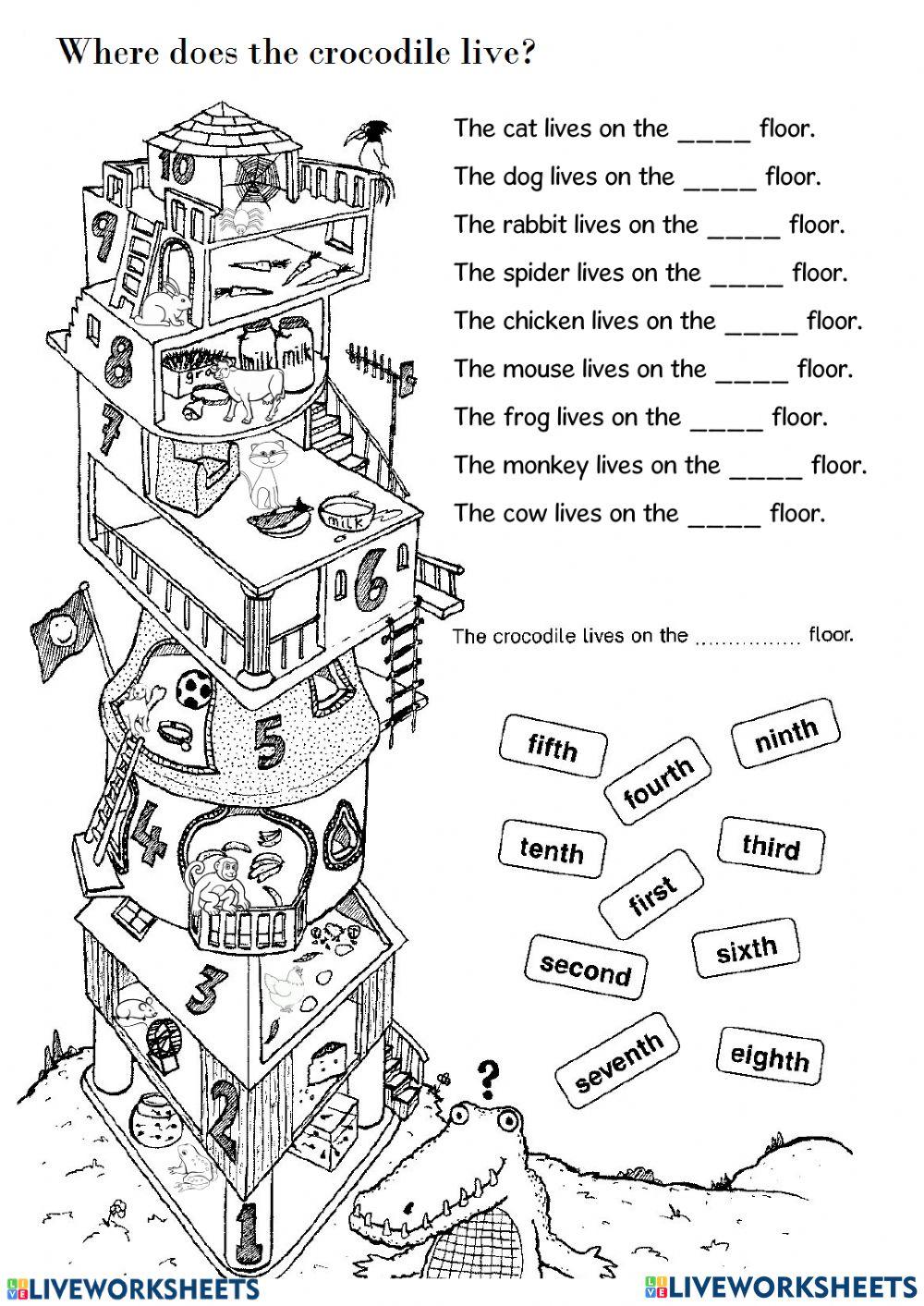 Ambar Fiorella Chavez Bances | ORDINAL NUMBERS WITH