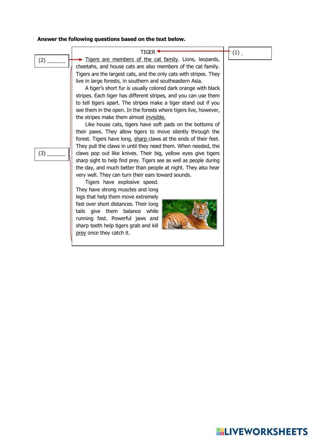 EXERCISE ON REPORT TEXT 7048729 | tantirahayu | Live