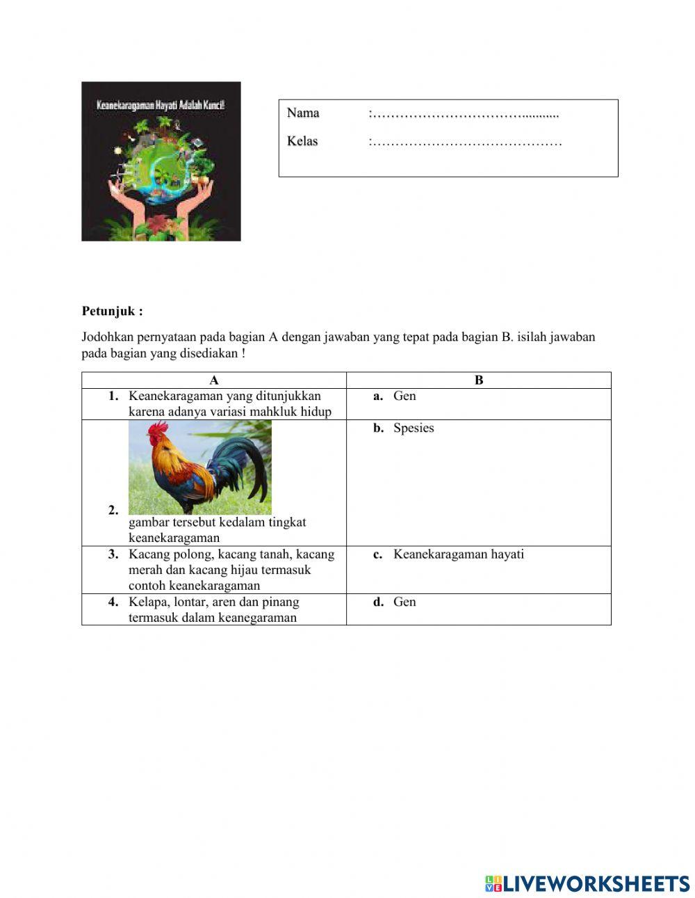 Biologi online activity for 10 | Live Worksheets