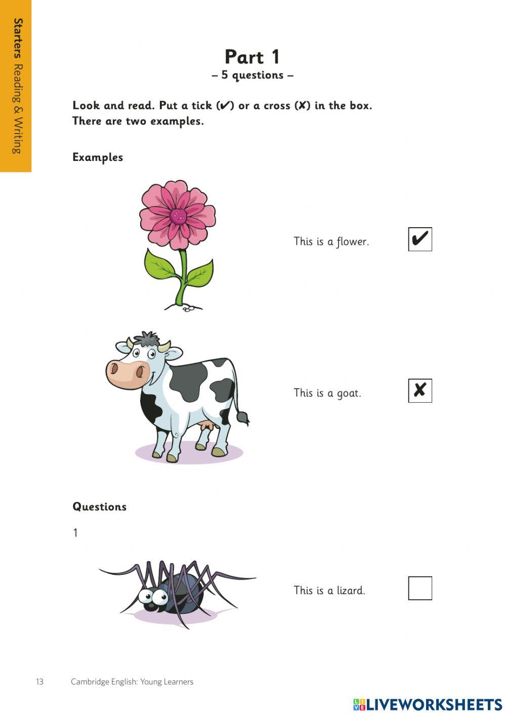 Starters Readin… | Free Interactive Worksheets | 7101599
