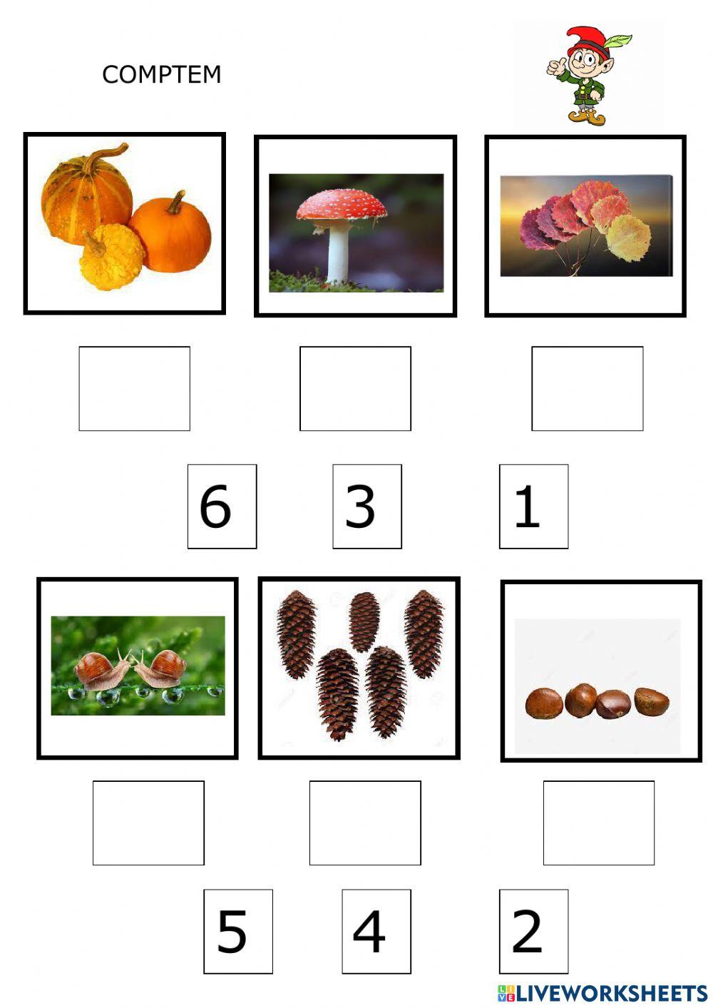 Comptem online activity | Live Worksheets