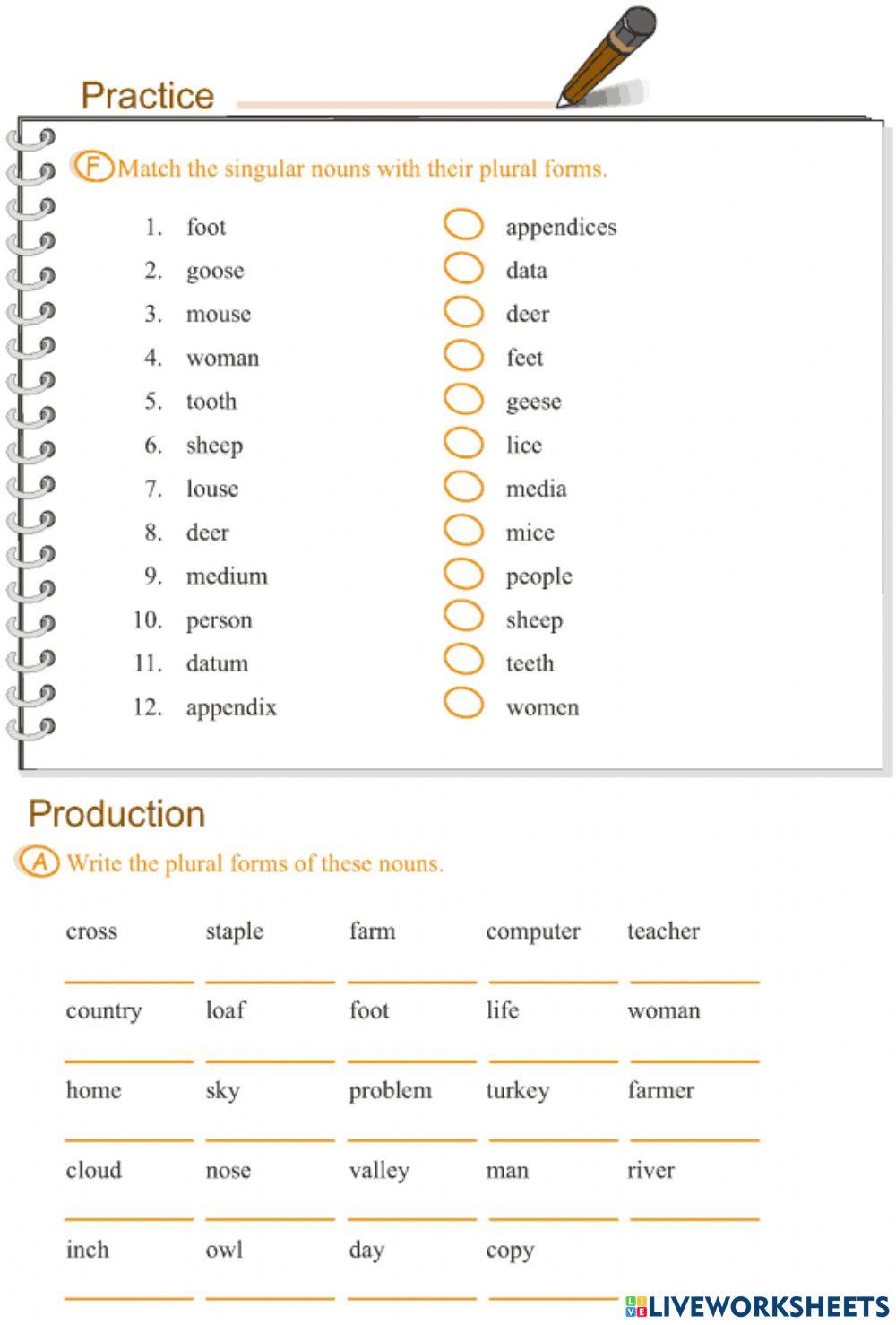 Singular and Plural online exercise for 6 | Live Worksheets