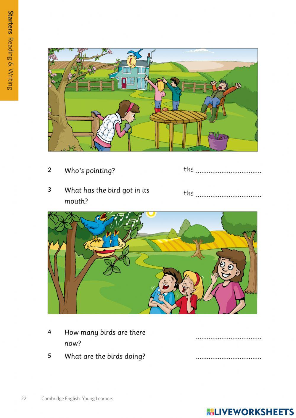 Cambridge Test … | Free Interactive Worksheets | 7019385