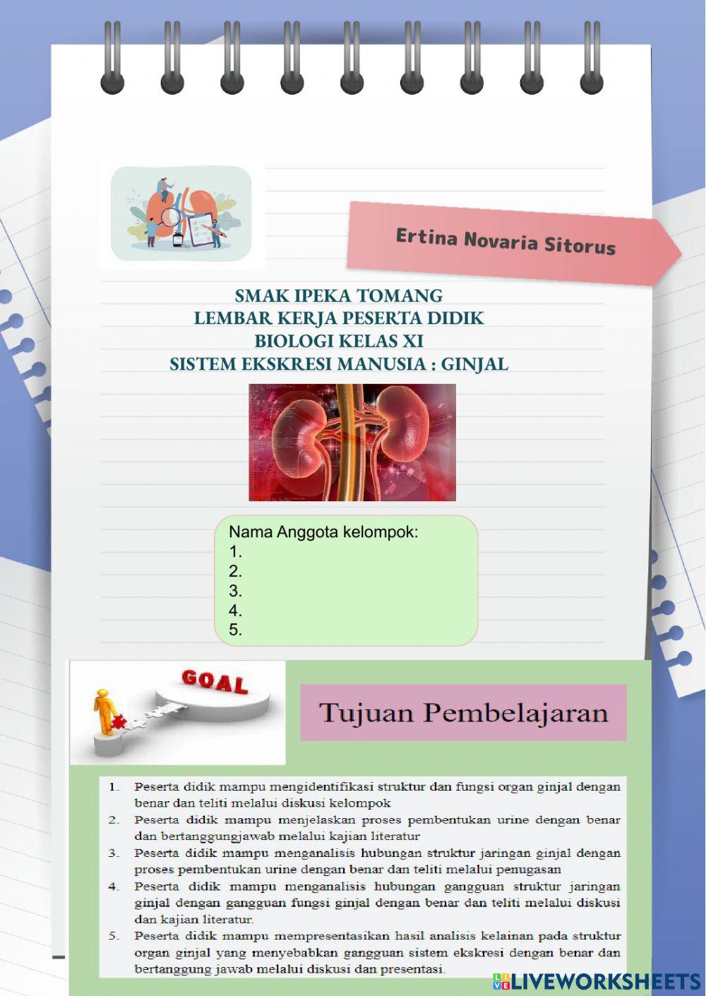 LKPD SISTEM EKSKRESI: GINJAL online exercise for | Live Worksheets