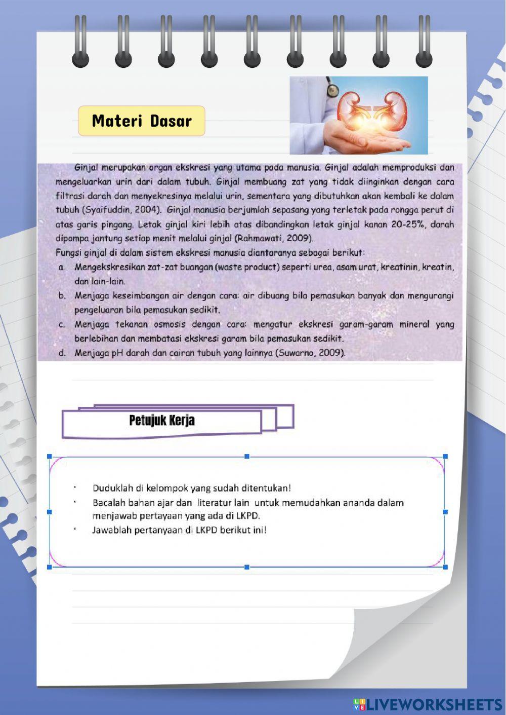LKPD SISTEM EKSKRESI: GINJAL online exercise for | Live Worksheets