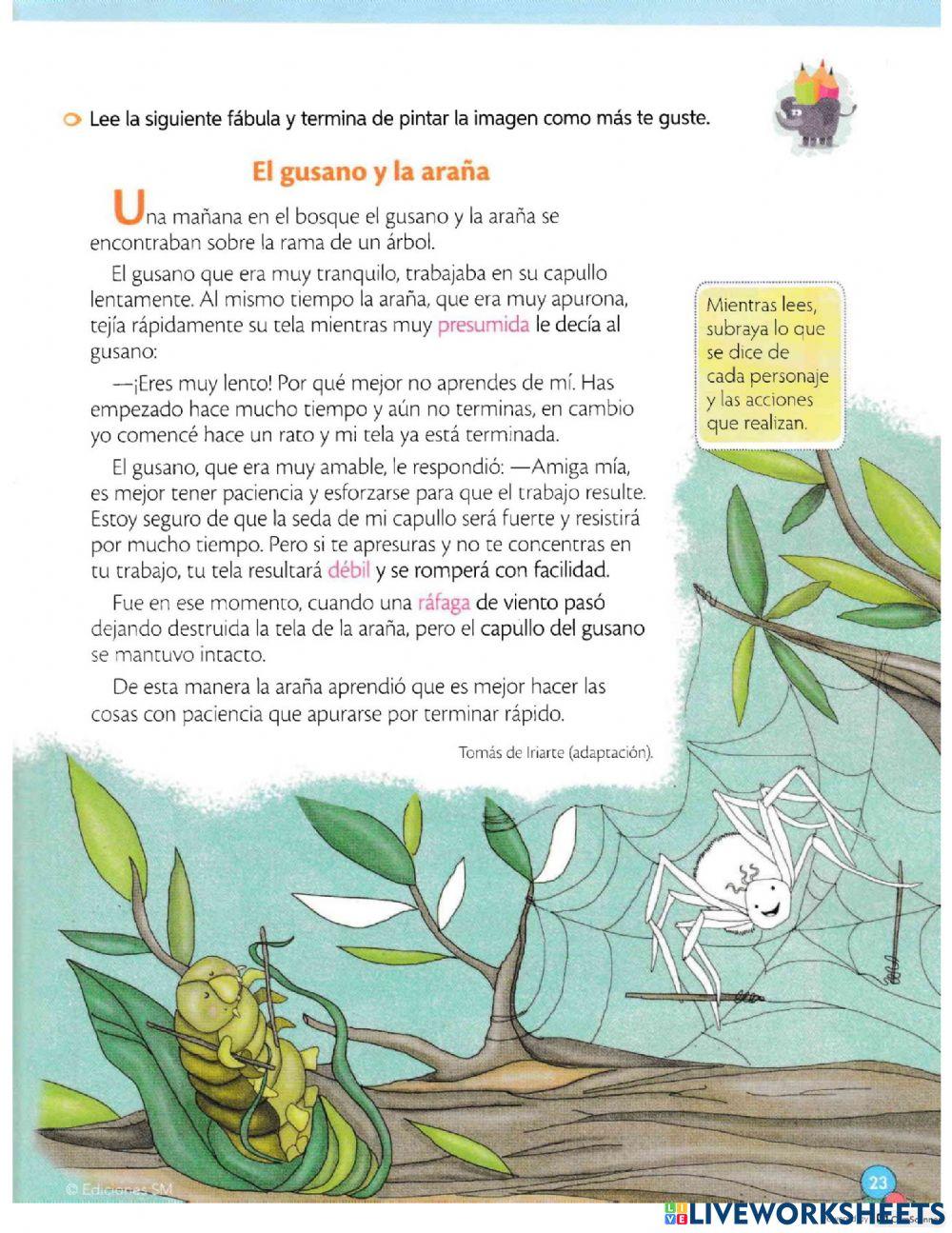 EL GUSANO Y LA ARAÑA online exercise for | Live Worksheets