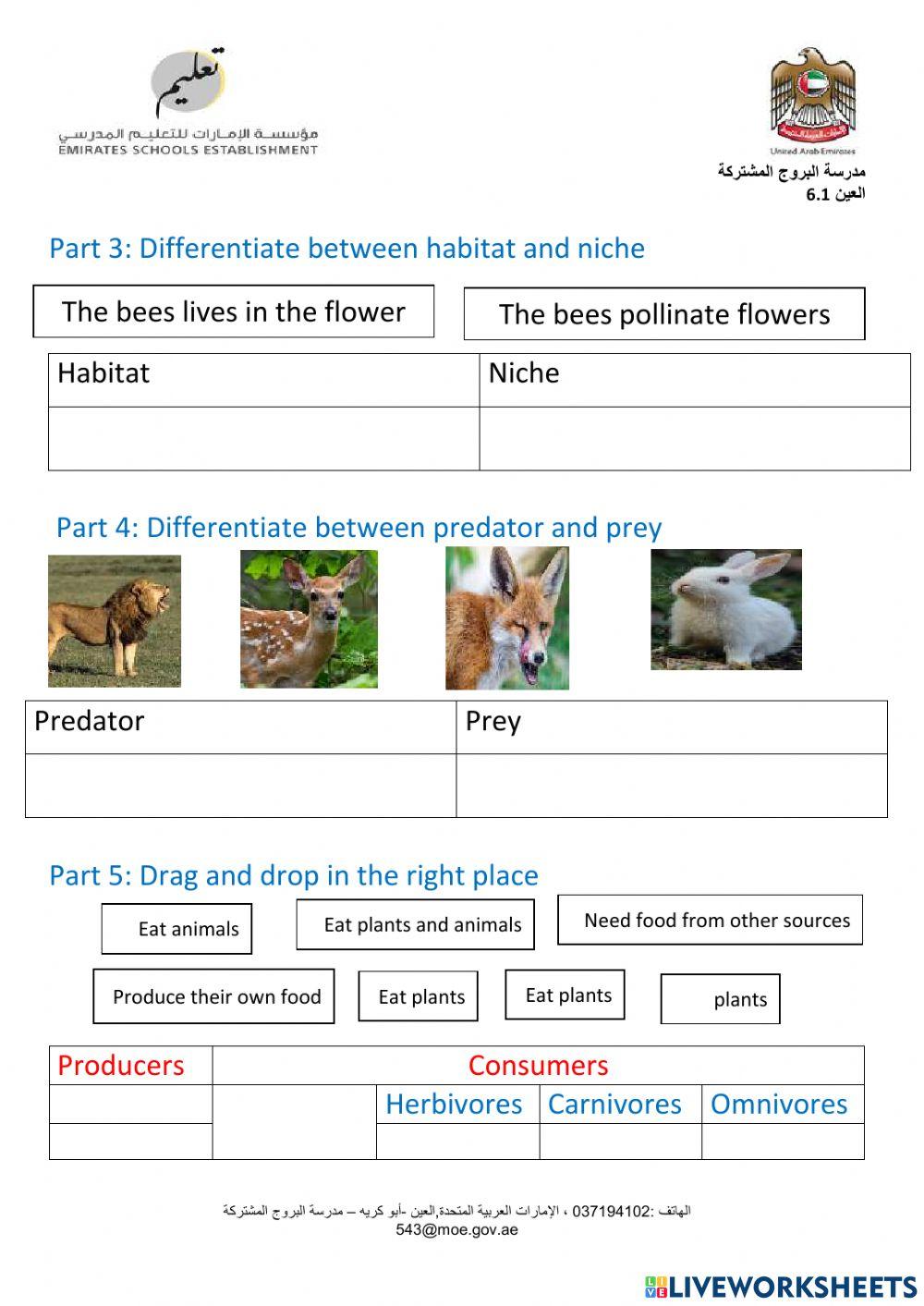 lesson 2: Ecosystems online exercise for | Live Worksheets