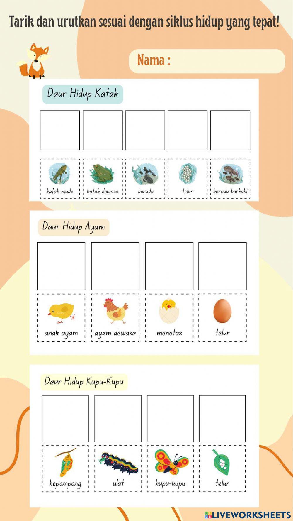 Daur hidup hewan | Indah Wahyuni | Live Worksheets