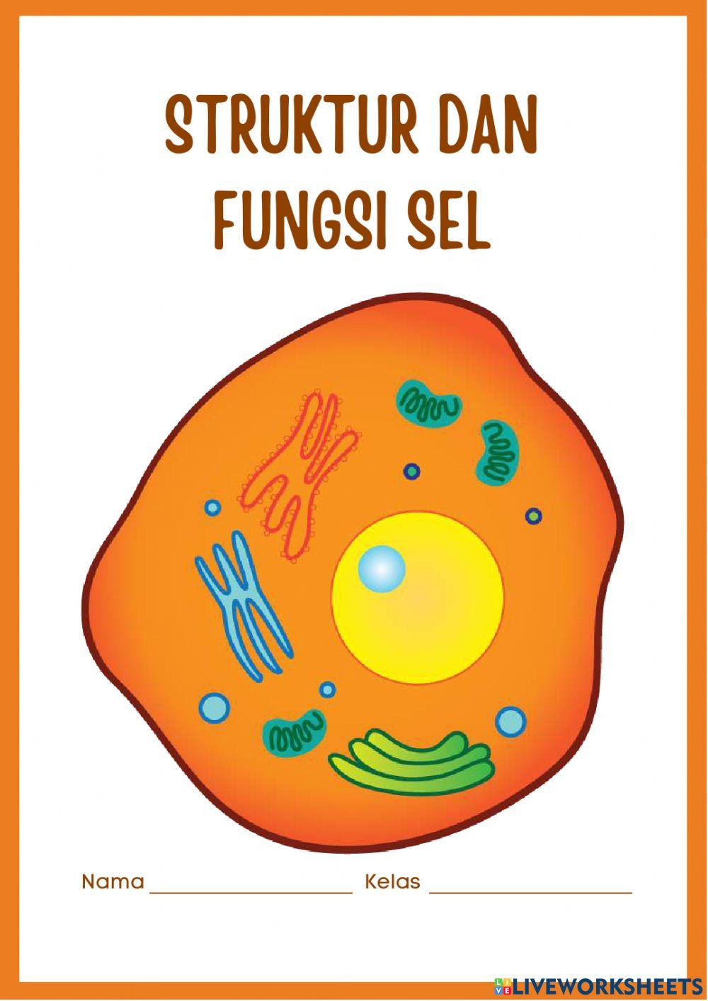 Cell worksheet for 11 | Live Worksheets