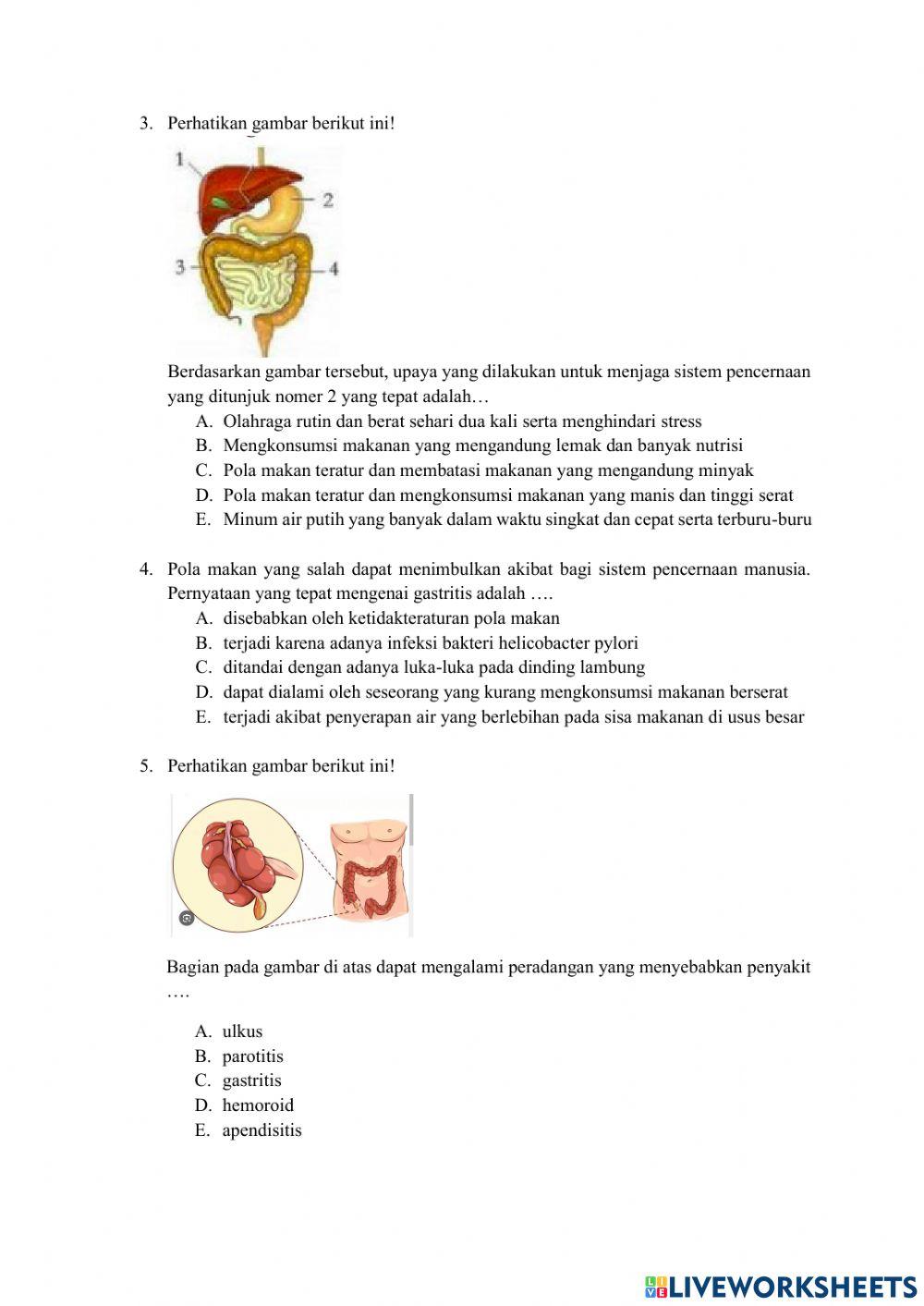 Biologi | Free Interactive Worksheets | 7021946