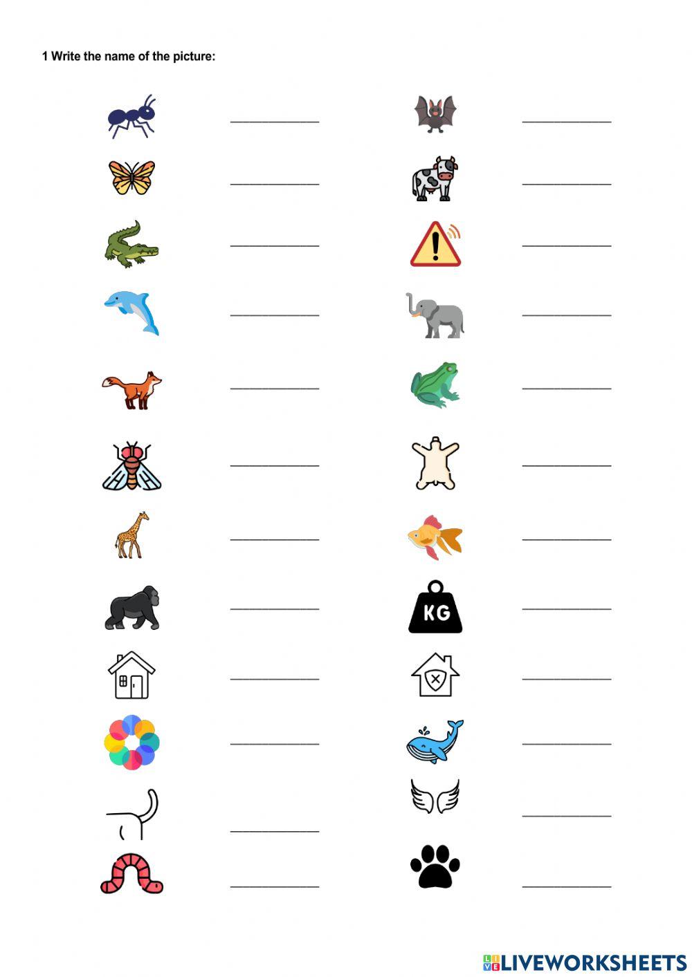 Animals Vocabulary worksheet for Pre-intermediate | Live Worksheets