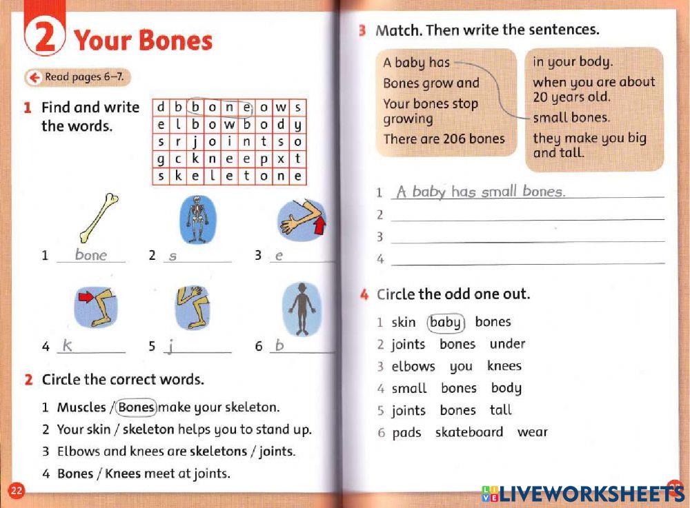 Reading-Basic Level 2-Body worksheet | Live Worksheets
