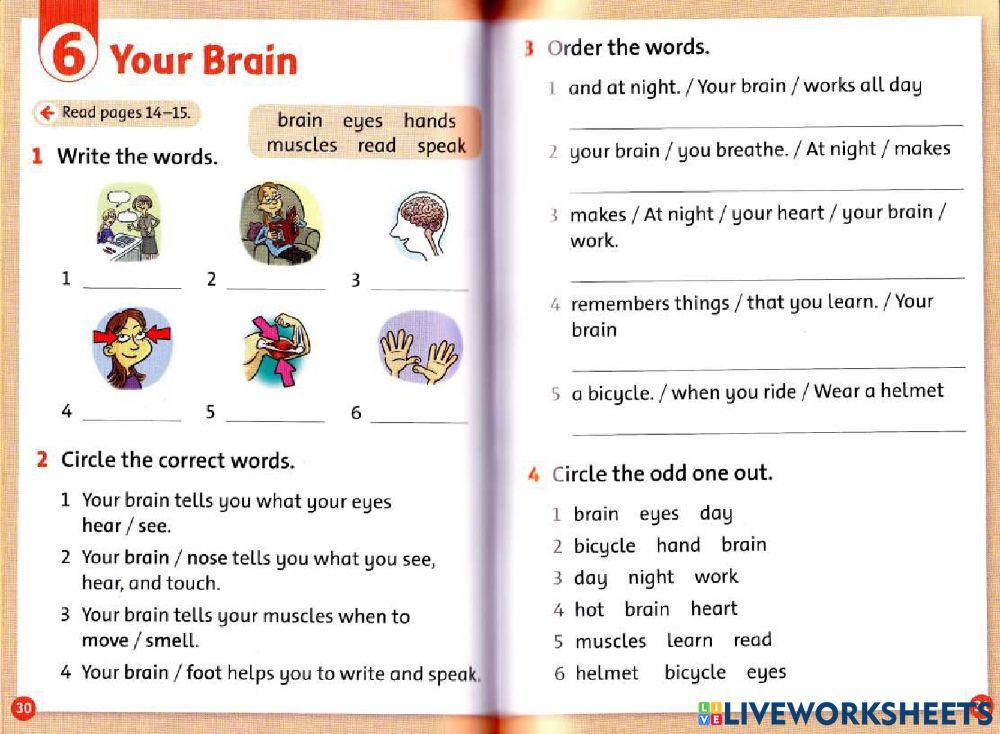 Reading-Basic Level 2-Body worksheet | Live Worksheets