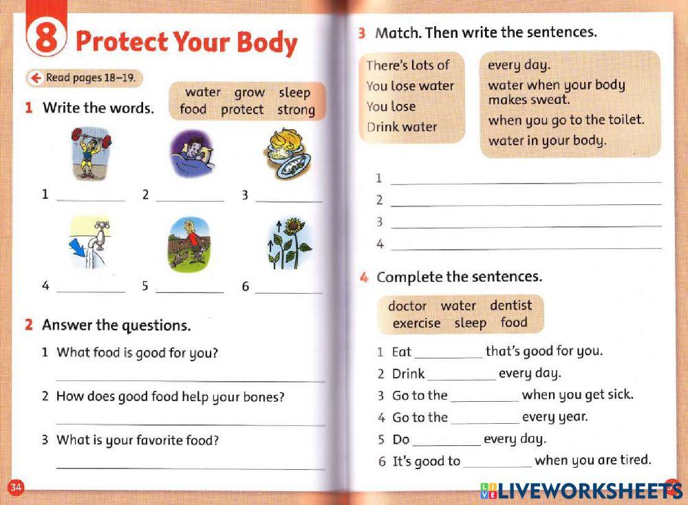 Reading-Basic Level 2-Body worksheet | Live Worksheets