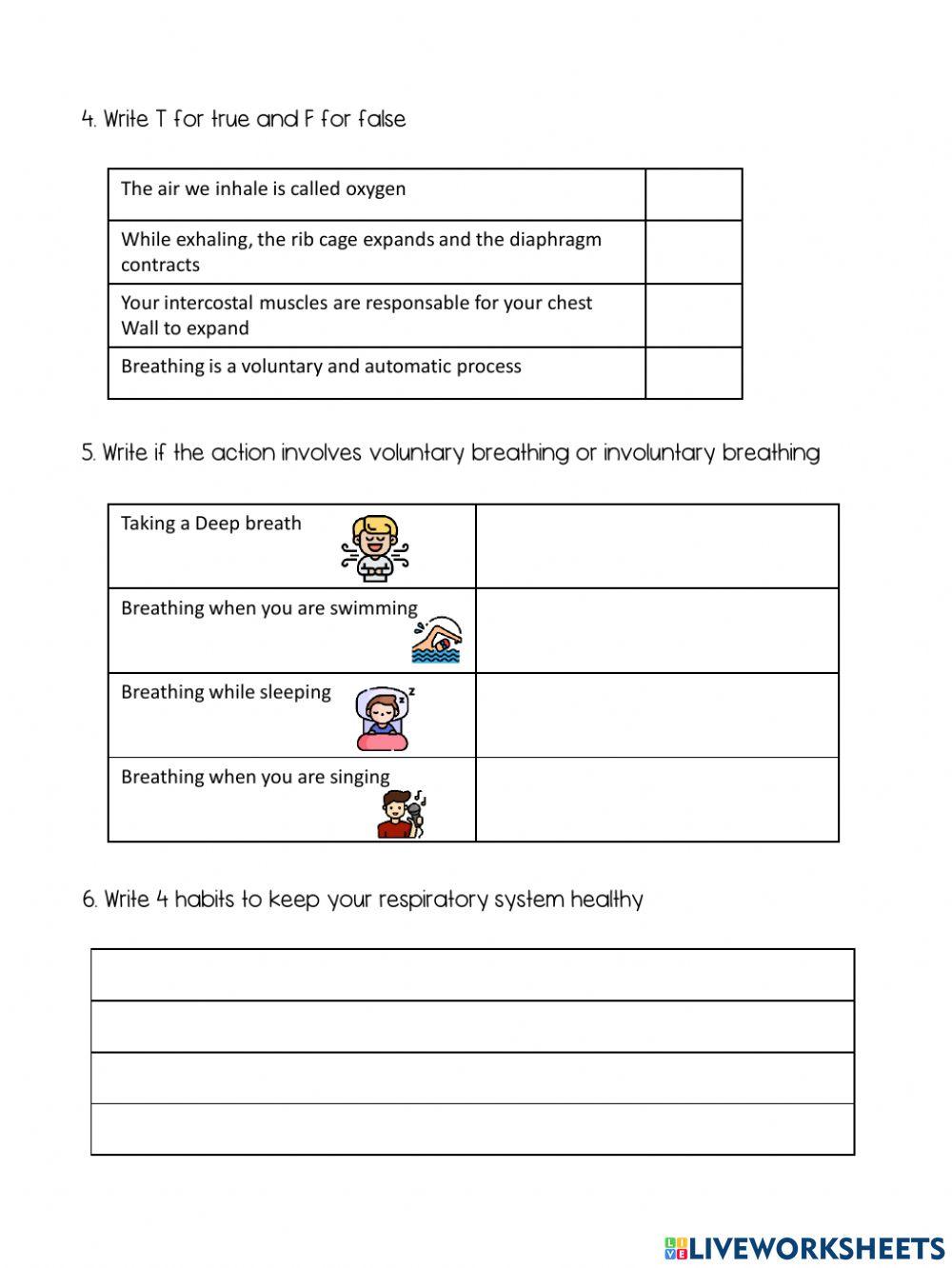 Respiratory sys… | Free Interactive Worksheets | 7023623