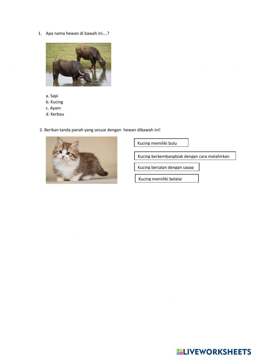 Mengenal hewan interactive exercise | Live Worksheets