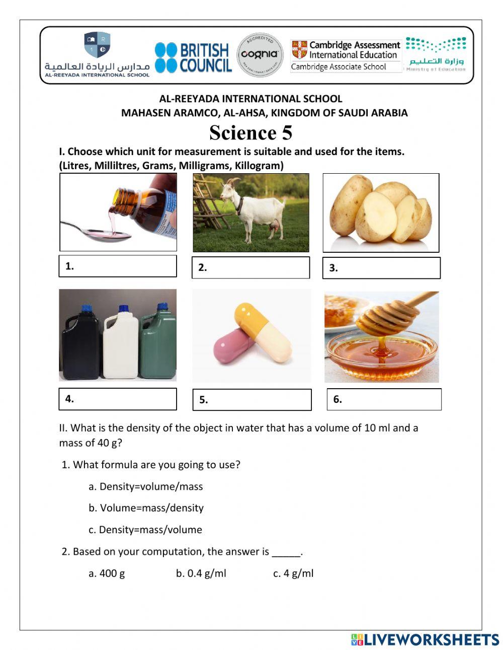 Liveworksheets Activity L2 worksheet | Live Worksheets