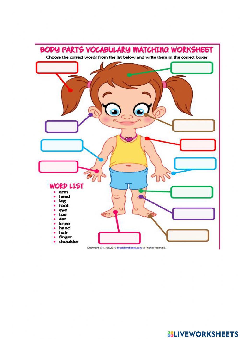 Body part online exercise for | Live Worksheets