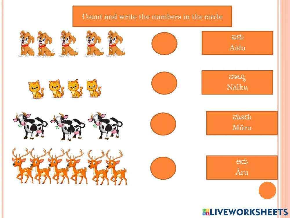 7033420 | numbers in kannada | Anjana Nadakarni