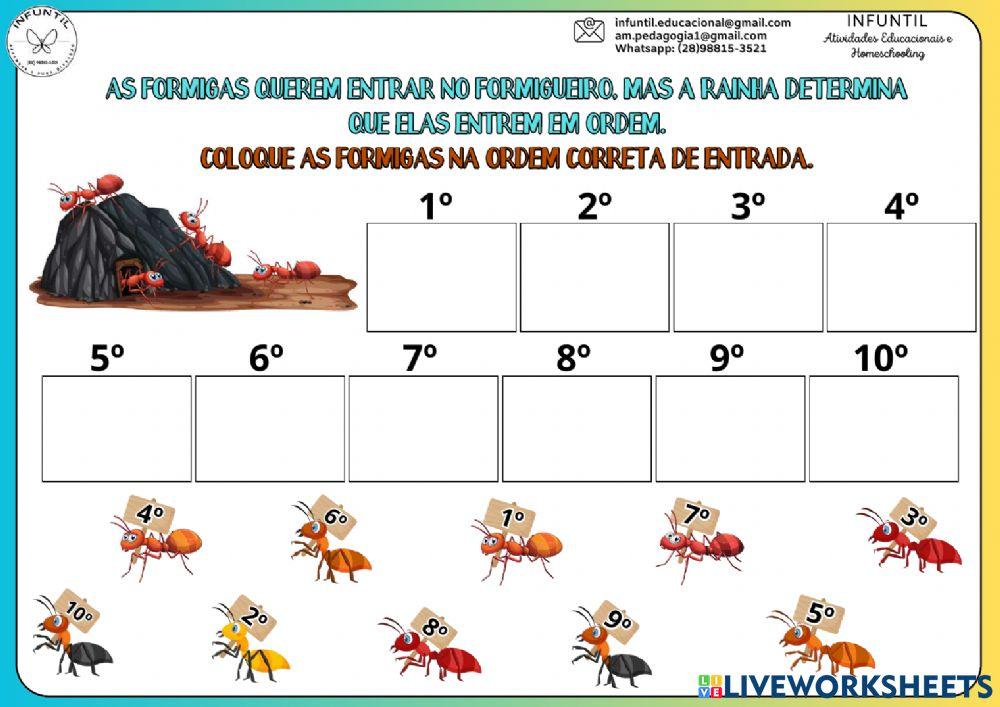 Ordene as formiguinhas interactive worksheet | Live Worksheets