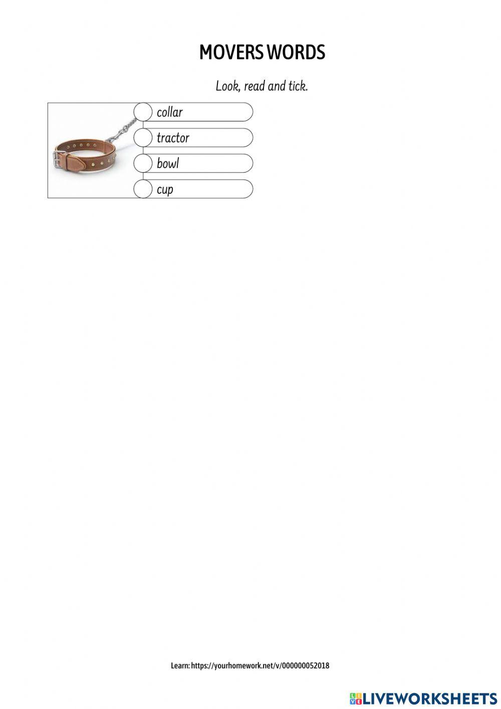 Movers words 7076216 | Danh080994 | Live Worksheets