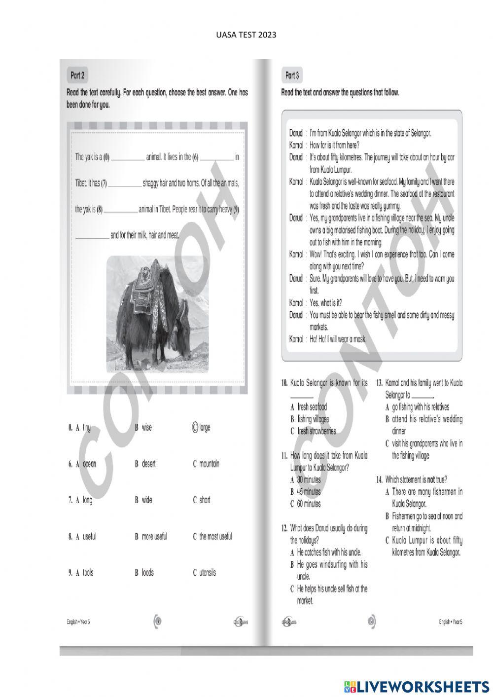 UASA LEVEL 2 online exercise for | Live Worksheets