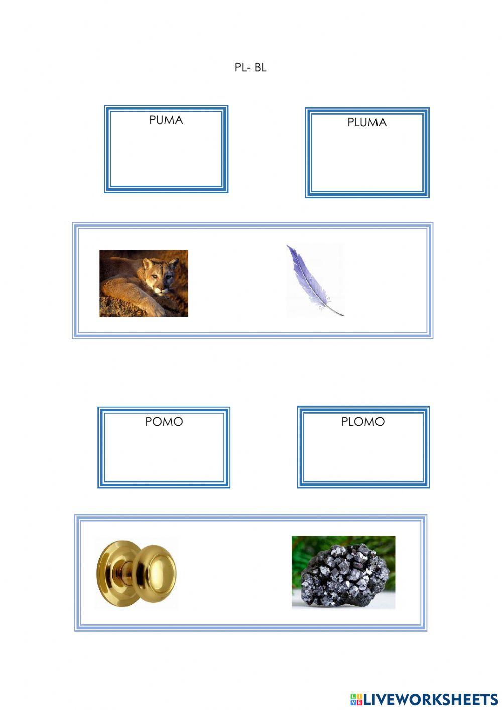 Pl-bl 7068801 | ROCIO ANDRES SUAREZ | Live Worksheets