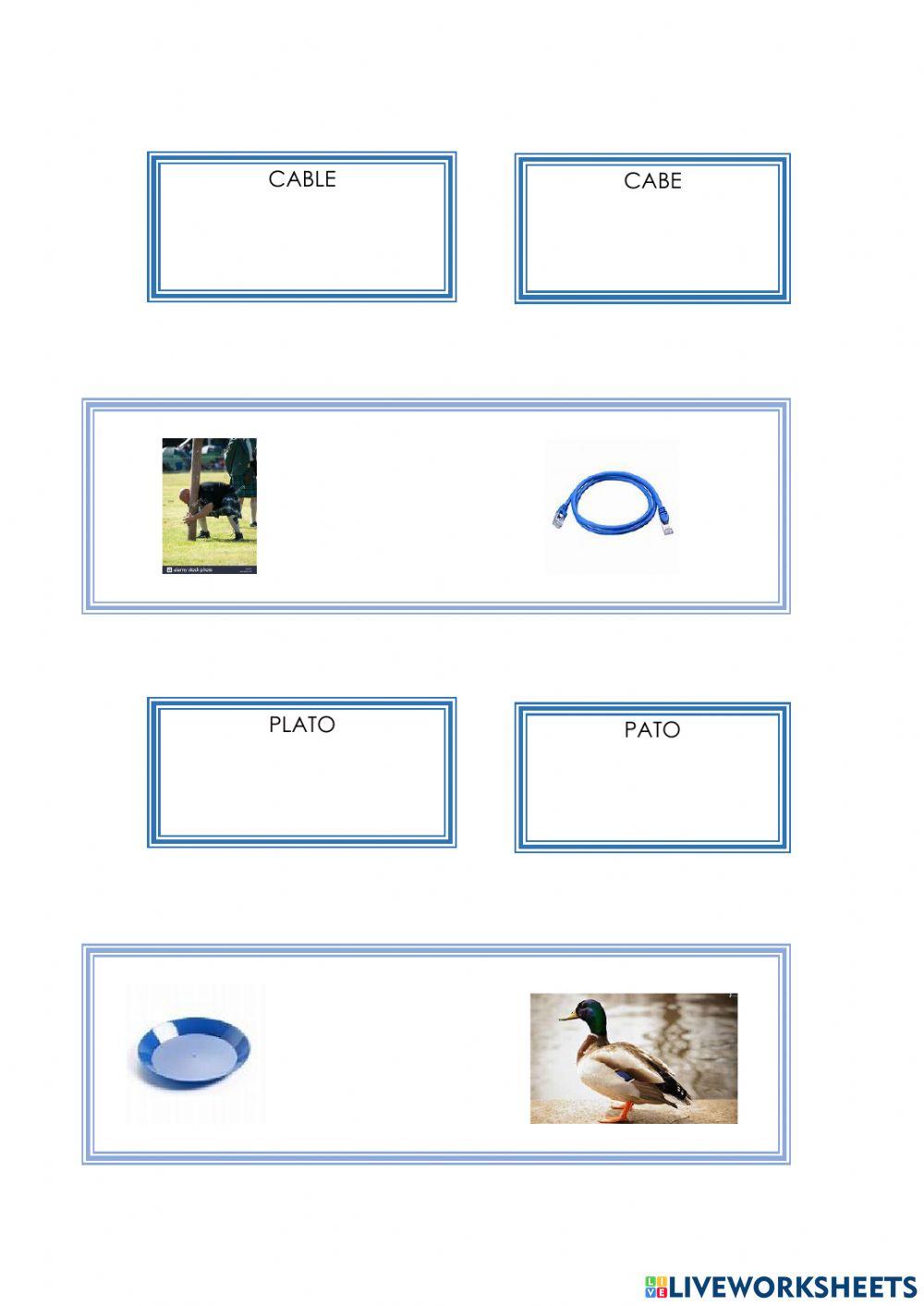 Pl-bl 7068801 | ROCIO ANDRES SUAREZ | Live Worksheets