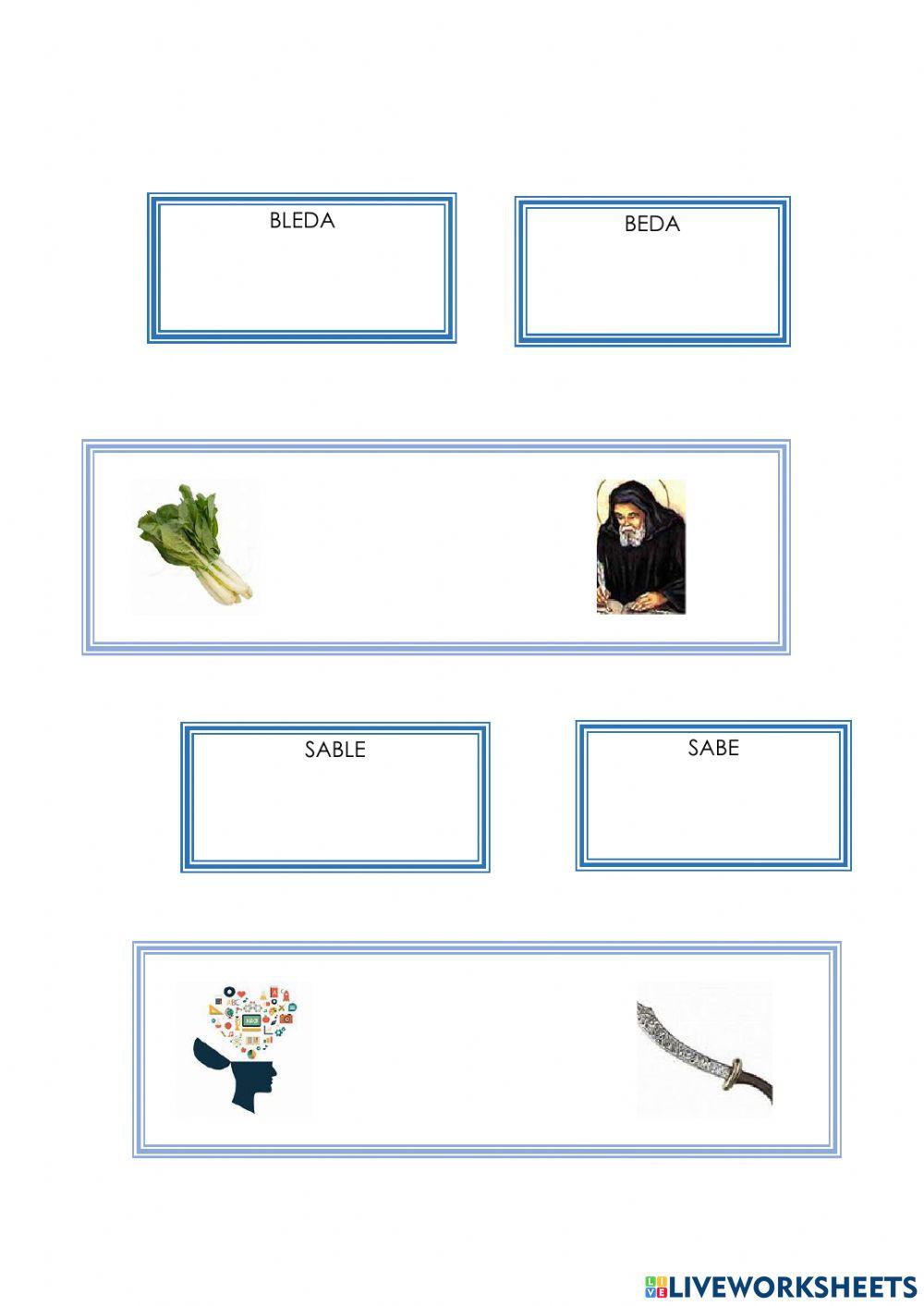 Pl-bl 7068801 | ROCIO ANDRES SUAREZ | Live Worksheets
