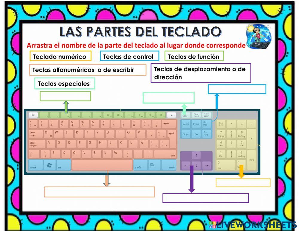 Las Partes Del Teclado Live Worksheets