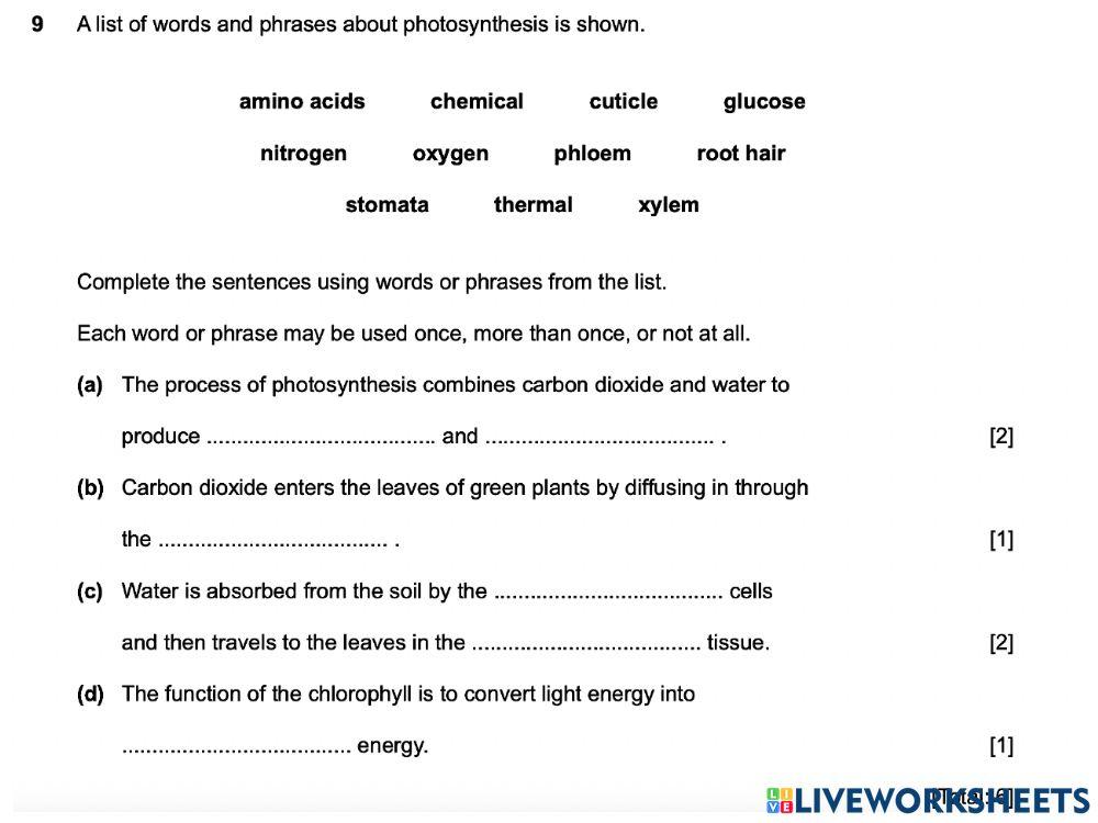 Activity 1 online exercise for | Live Worksheets