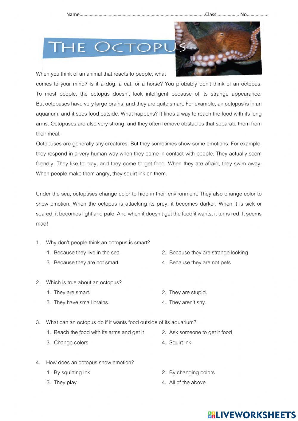 octopus-test 7073496 | Preechaya_MTBK | Live Worksheets