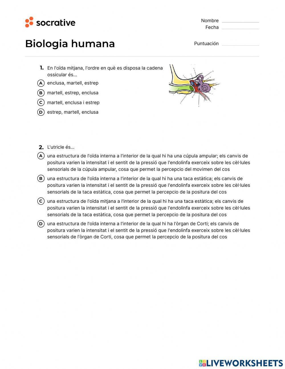 Biologia humana worksheet | Live Worksheets