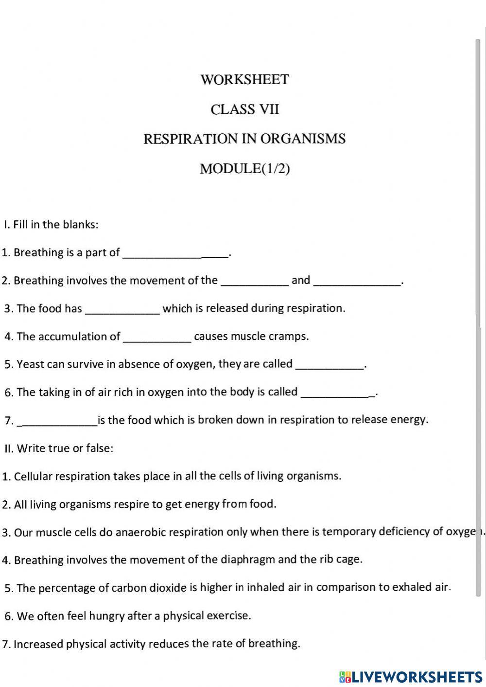 Why do we respire worksheet | Live Worksheets