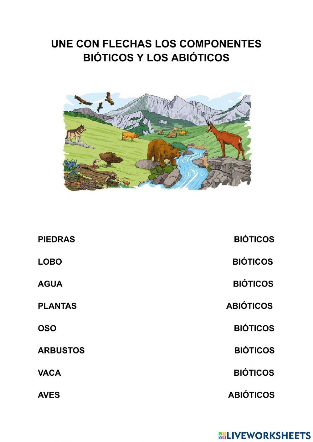 Clasificación de componentes bióticos y abióticos worksheet | Live ...