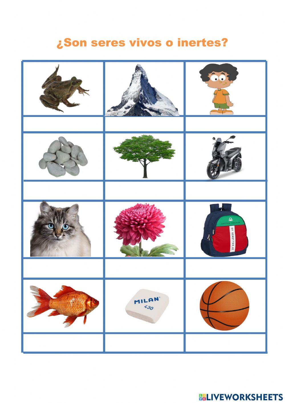 Víctor Salcedo | Ser vivo ser inerte 7009389