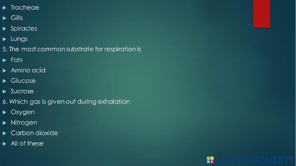 Respiration In … | Free Interactive Worksheets | 7016680 Respiration In … | Free Interactive Worksheets | 7016680