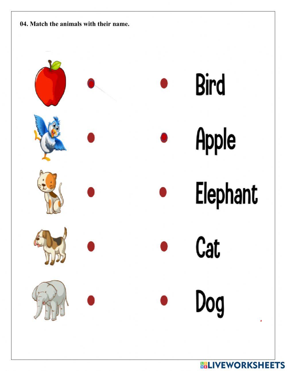 Nursery English test worksheet | Live Worksheets