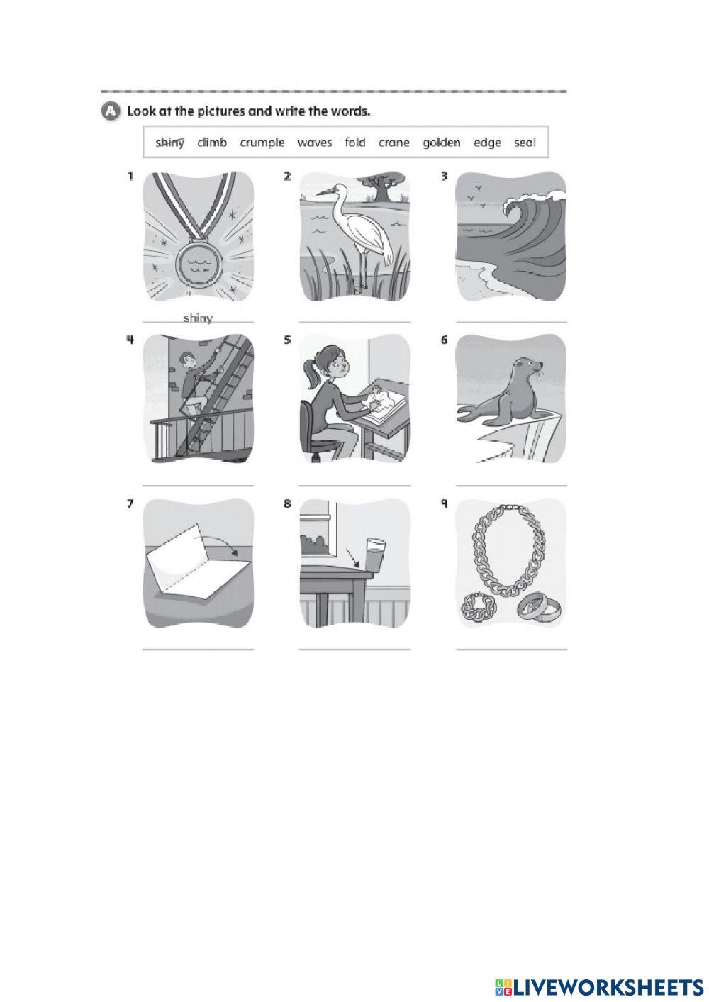 English vocab exercises worksheet | Live Worksheets