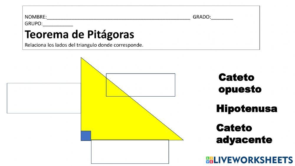 Teorema De Pitágoras Online Exercise For Secundaria Live Worksheets