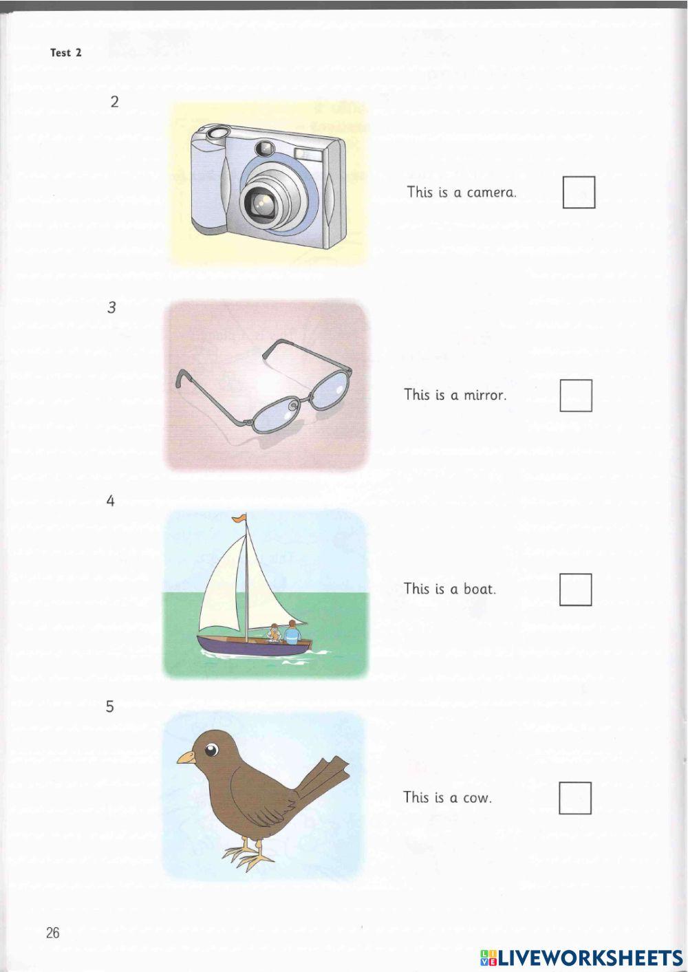 Starter 1 test … | Free Interactive Worksheets | 7079873