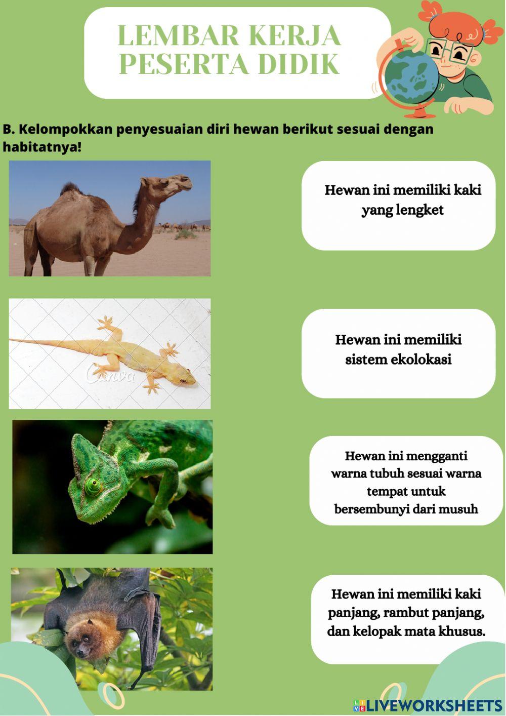 E-klpd worksheet | Live Worksheets