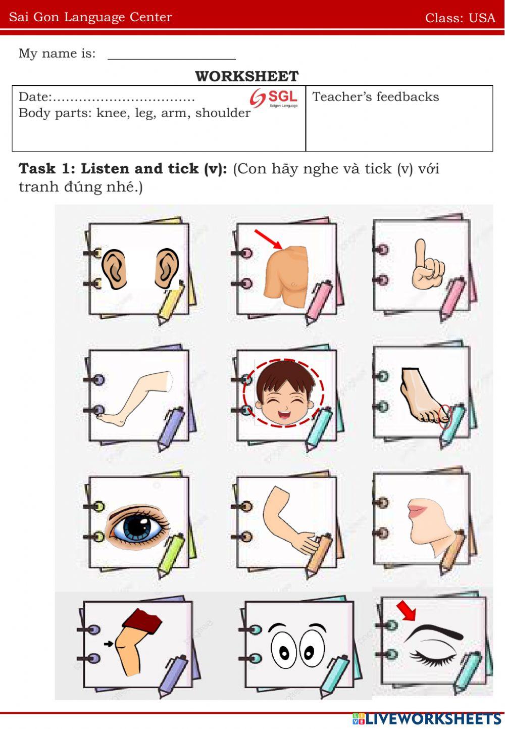 7089053 | USA knee, arm, leg, shoulder | Huỳnh Thị Thu