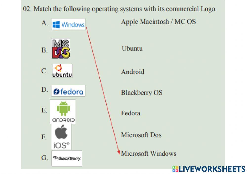 Match online exercise for grade 6 | Live Worksheets